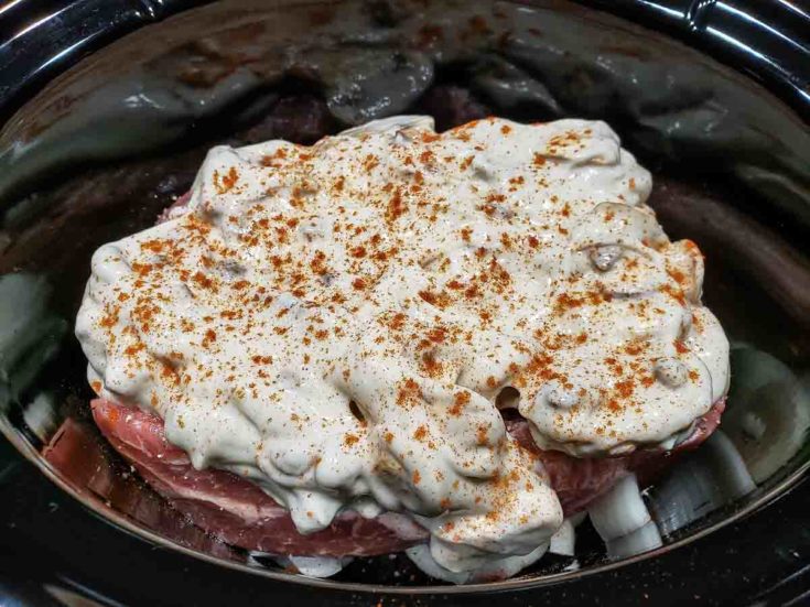 Easy Boneless Country Ribs (Slow Cooker) - Zona's Lazy Recipes